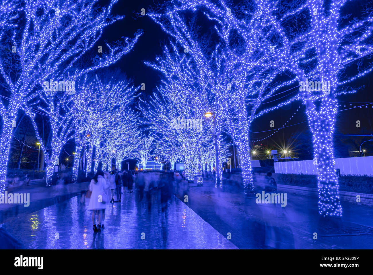 Shibuya Blue Cave winter illumination festival, beautiful view, popular ...