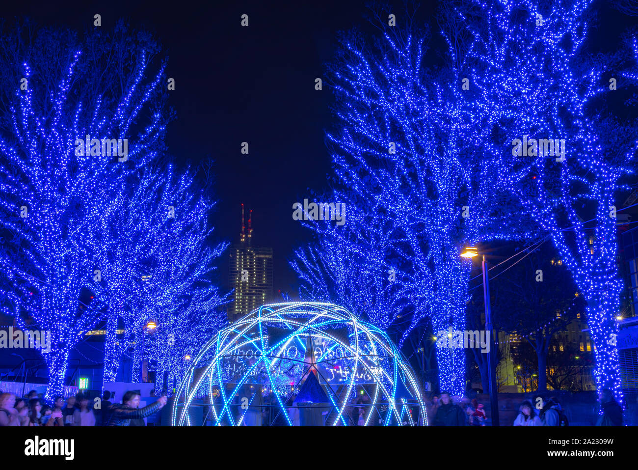 Shibuya Blue Cave winter illumination festival, beautiful view, popular ...