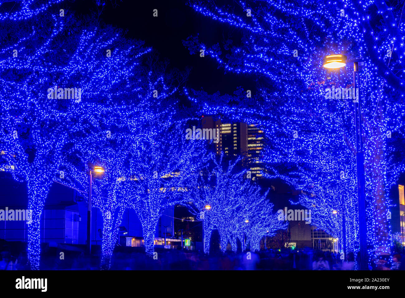 Shibuya Blue Cave winter illumination festival, beautiful view, popular ...