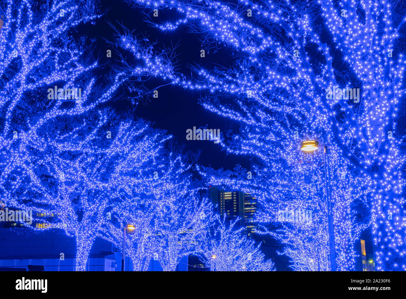 Shibuya Blue Cave winter illumination festival, beautiful view, popular ...
