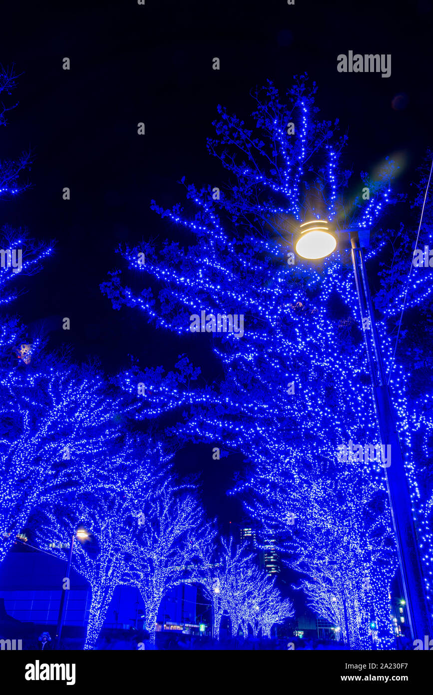 Shibuya Blue Cave winter illumination festival, beautiful view, popular ...