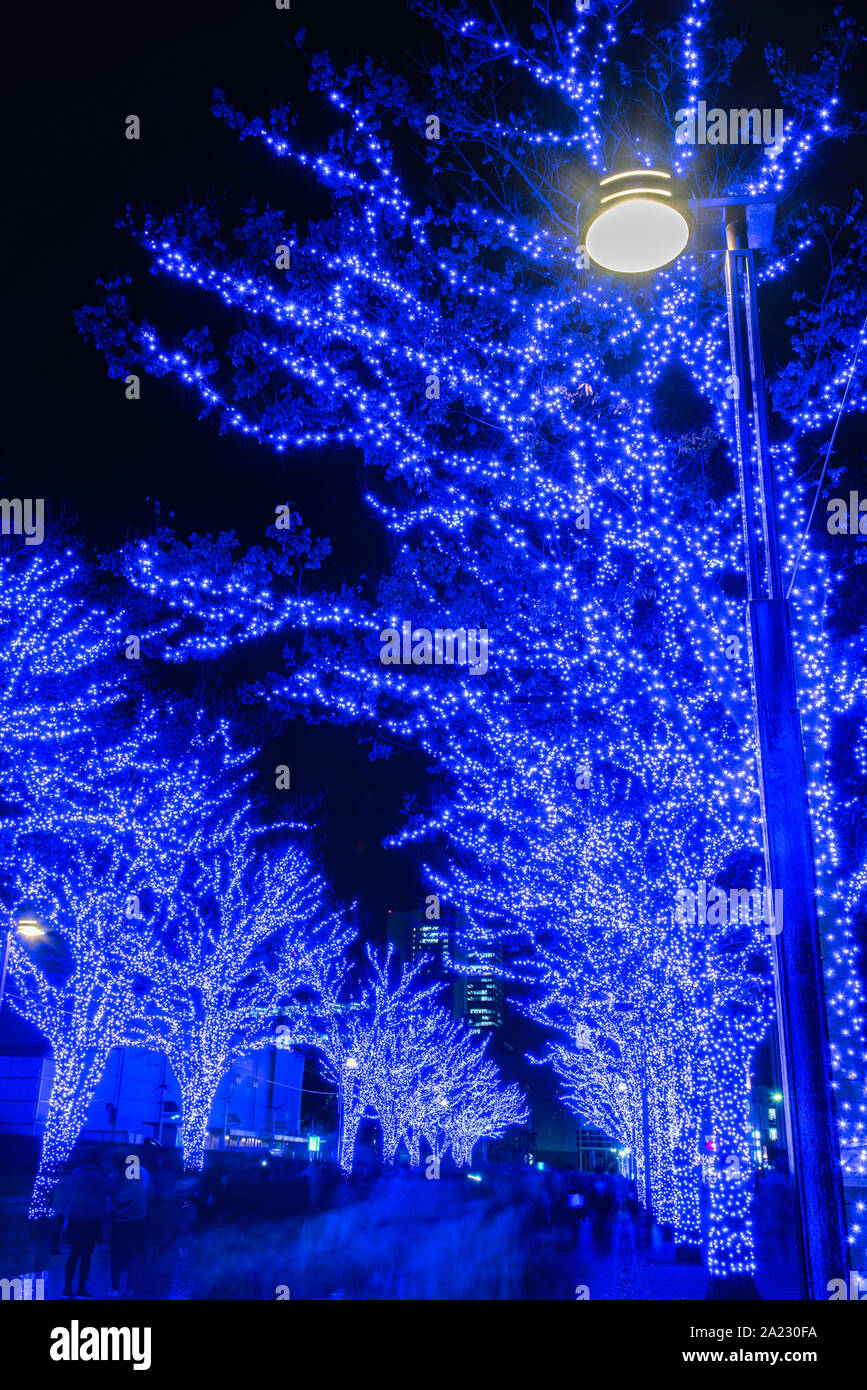Shibuya Blue Cave winter illumination festival, beautiful view, popular ...