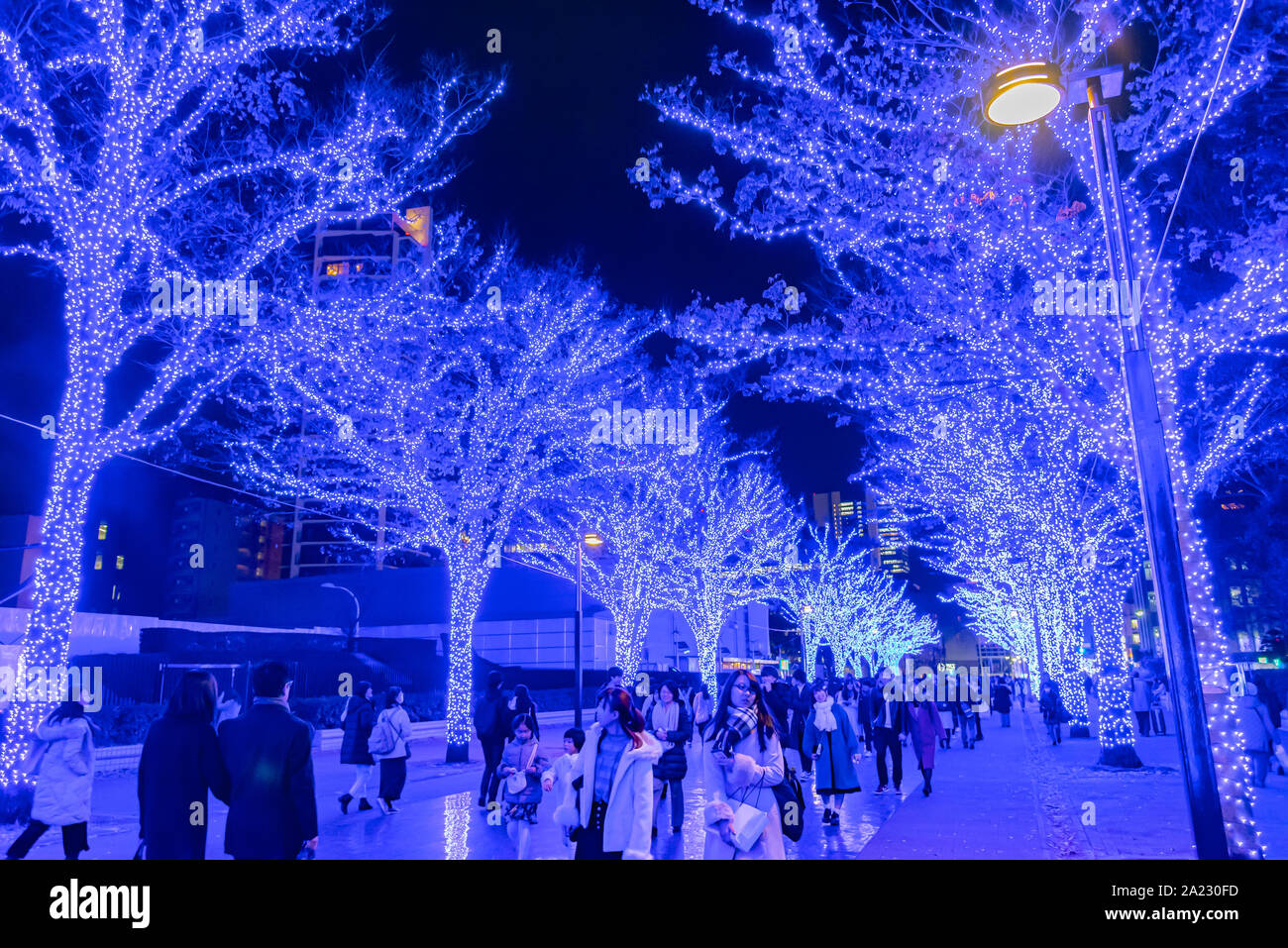 Shibuya Blue Cave winter illumination festival, beautiful view, popular ...