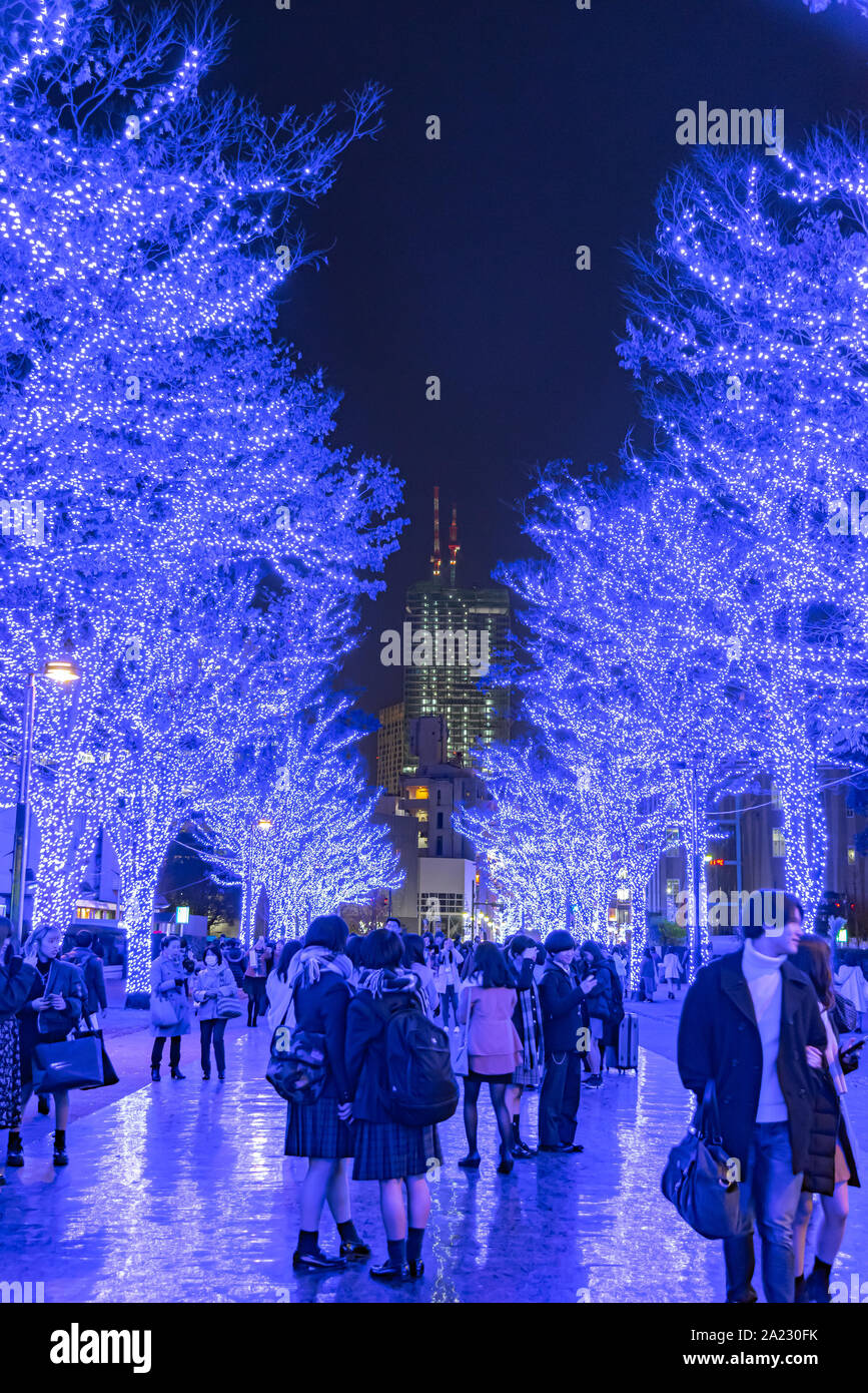 Shibuya Blue Cave winter illumination festival, beautiful view, popular ...