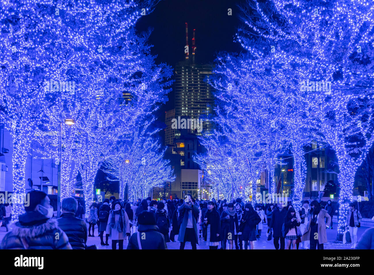 Shibuya Blue Cave winter illumination festival, beautiful view, popular ...