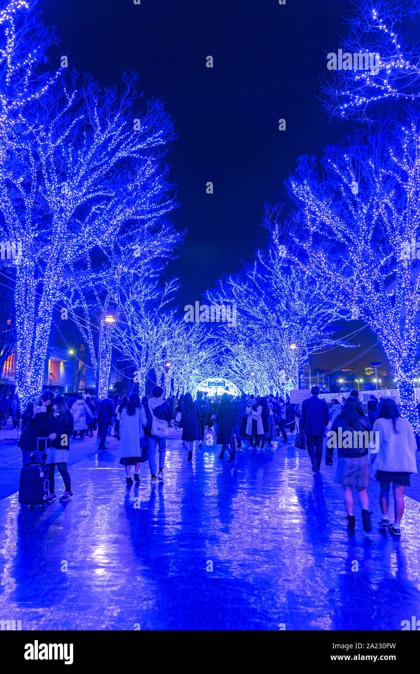 Shibuya Blue Cave winter illumination festival, beautiful view, popular ...