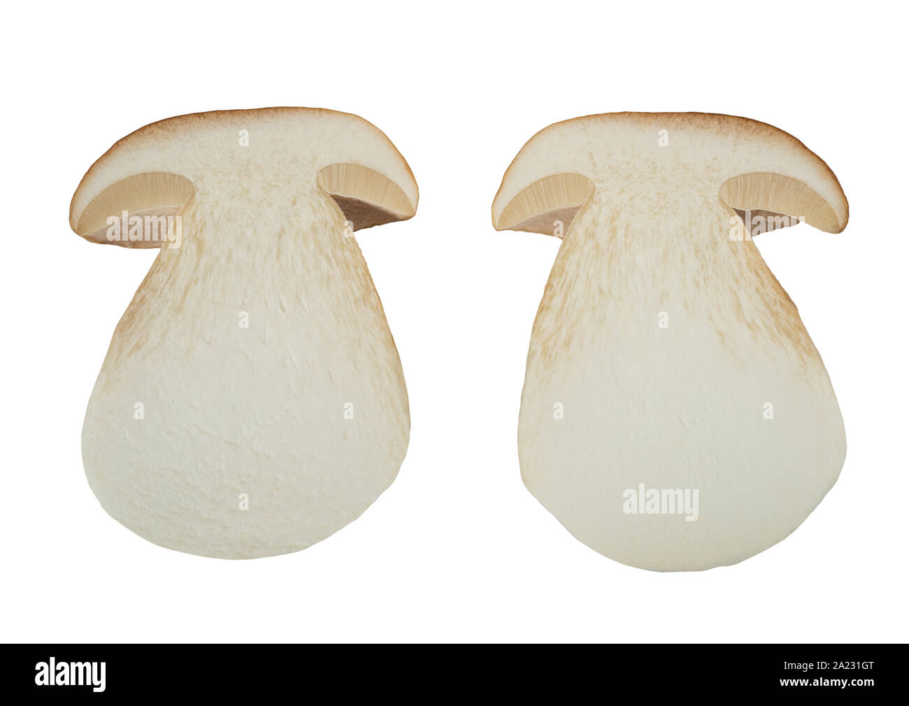 Penny slice Cut Out Stock Images & Pictures - Alamy