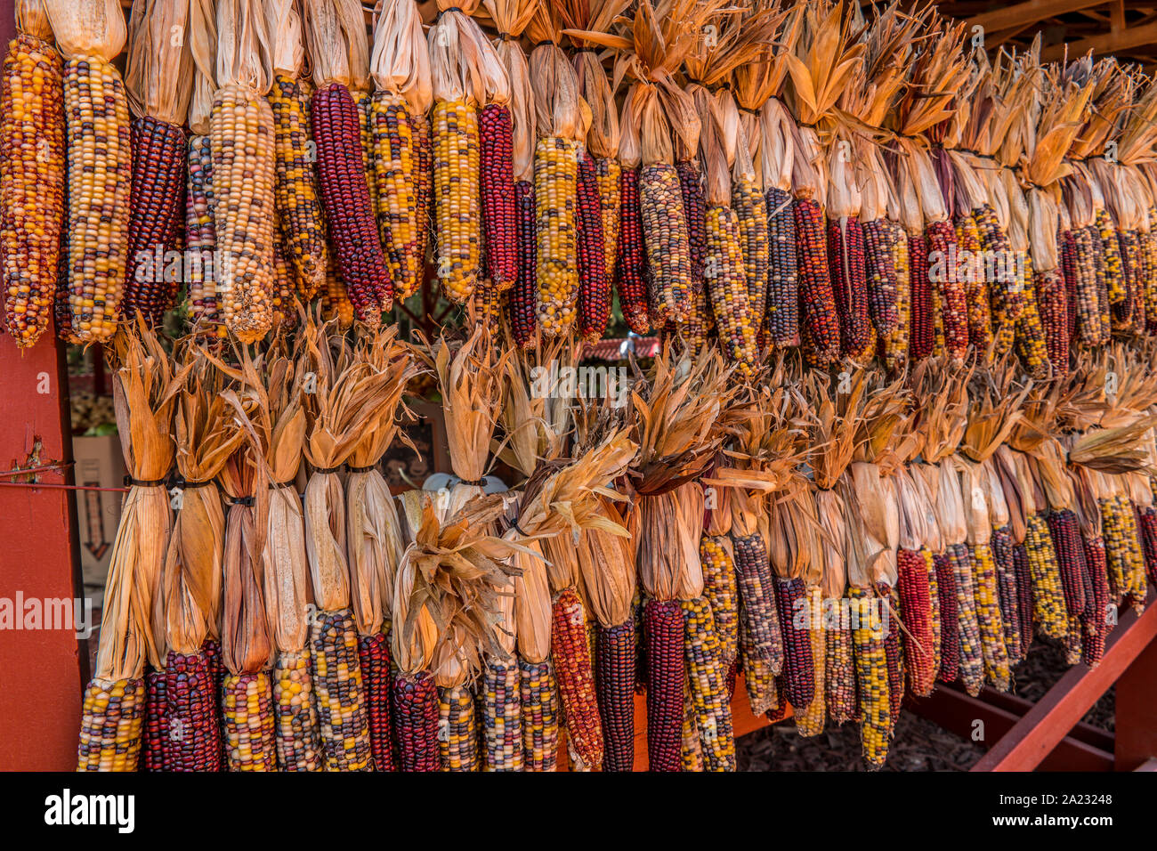 Hanging on display for sale are two rows of different varieties of ...