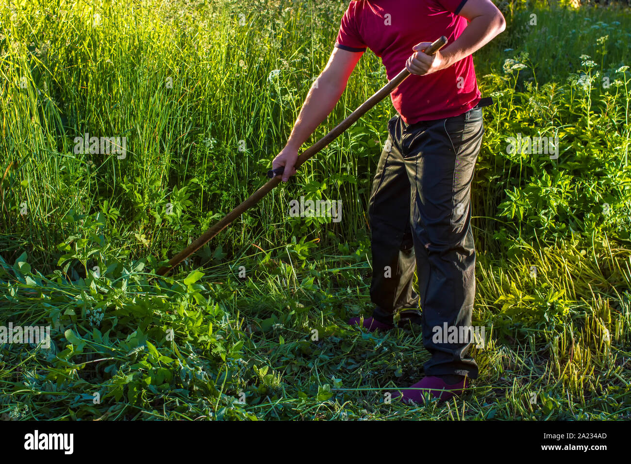 Farmer cutting grass with a scythe hi-res stock photography and images ...