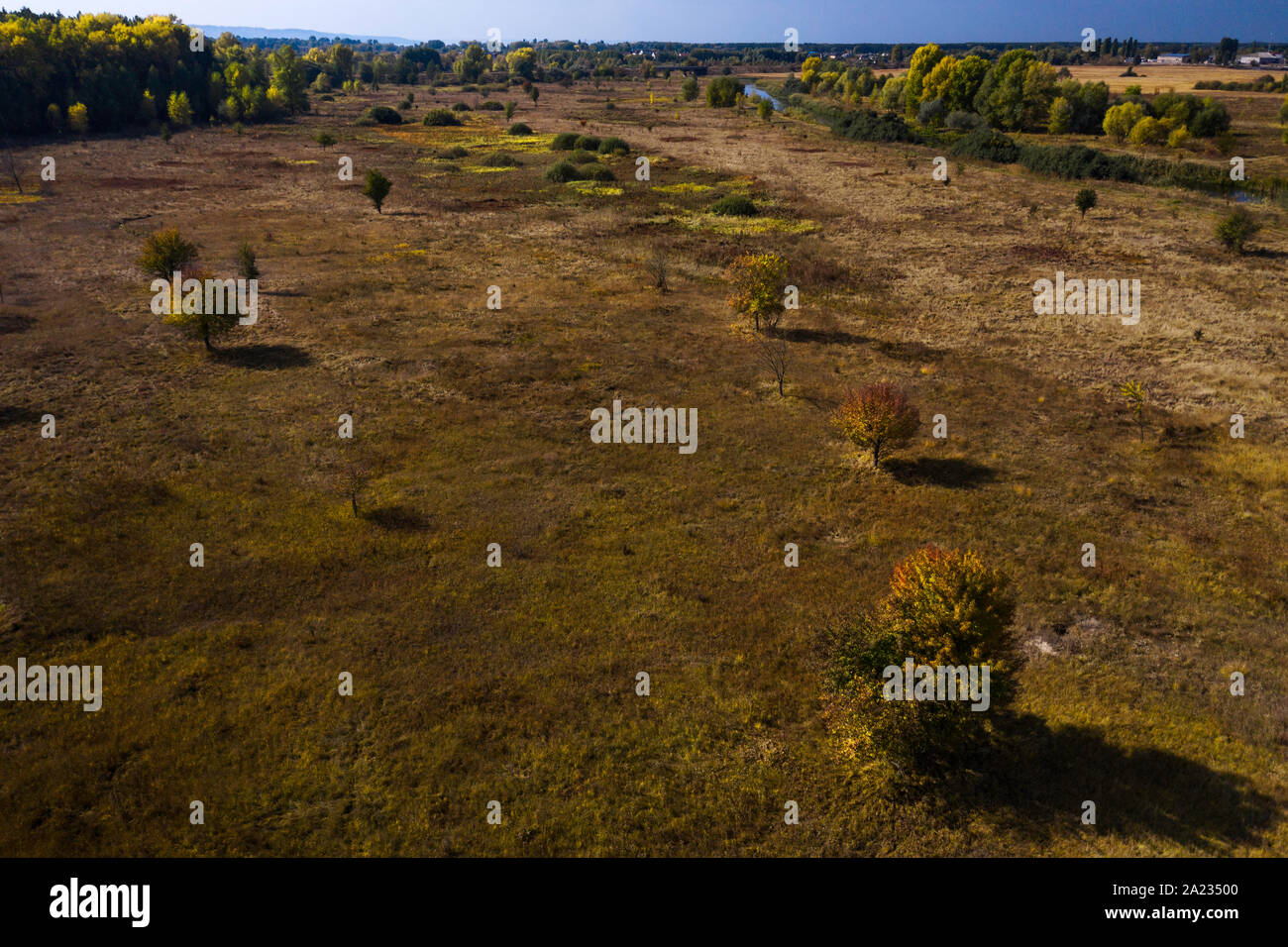 Aerial autumn tree hi-res stock photography and images - Alamy