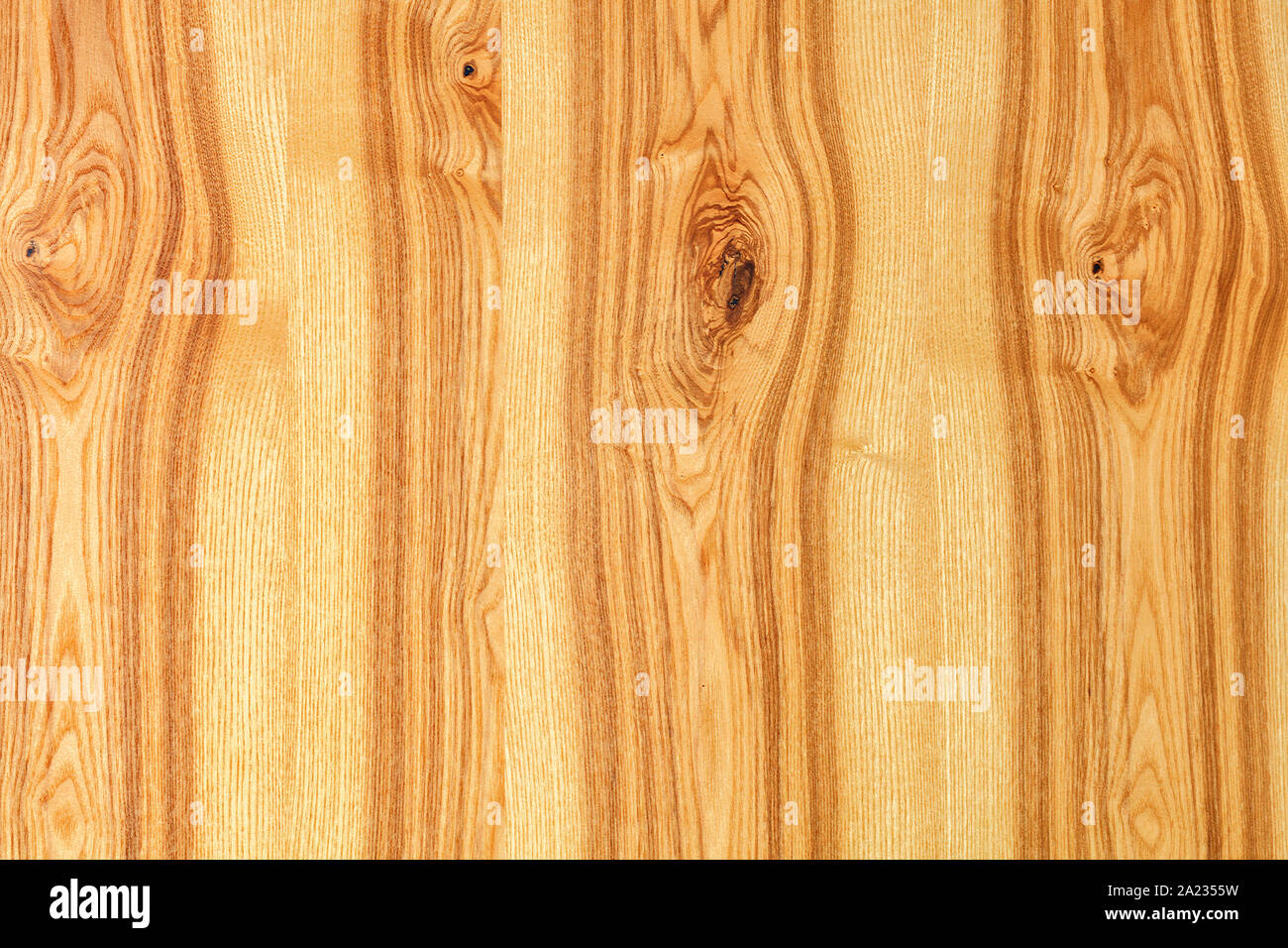 A beautiful pattern cut of a tree in the form of a new smooth wooden ...
