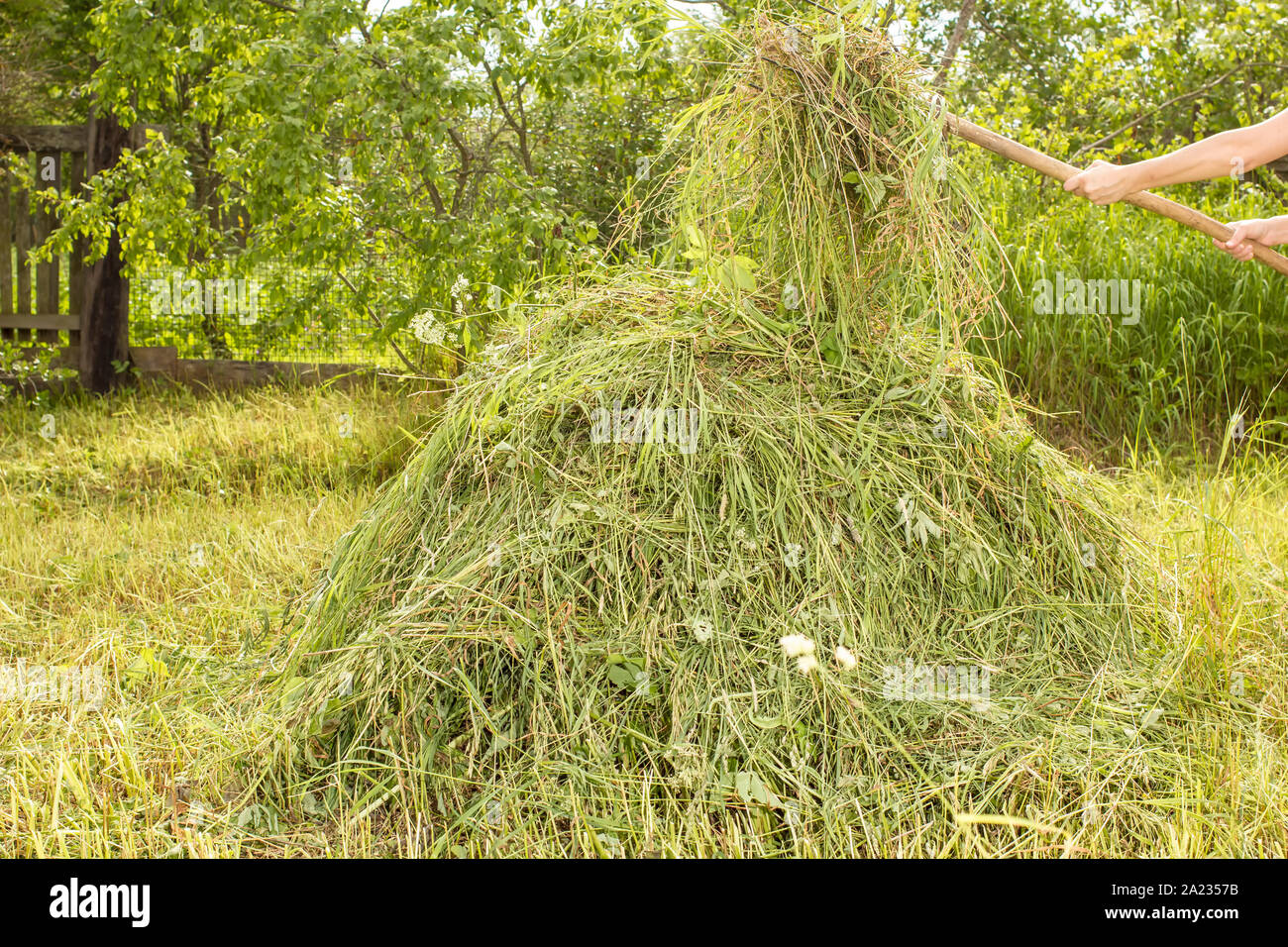 Old pitchfork hi-res stock photography and images - Alamy