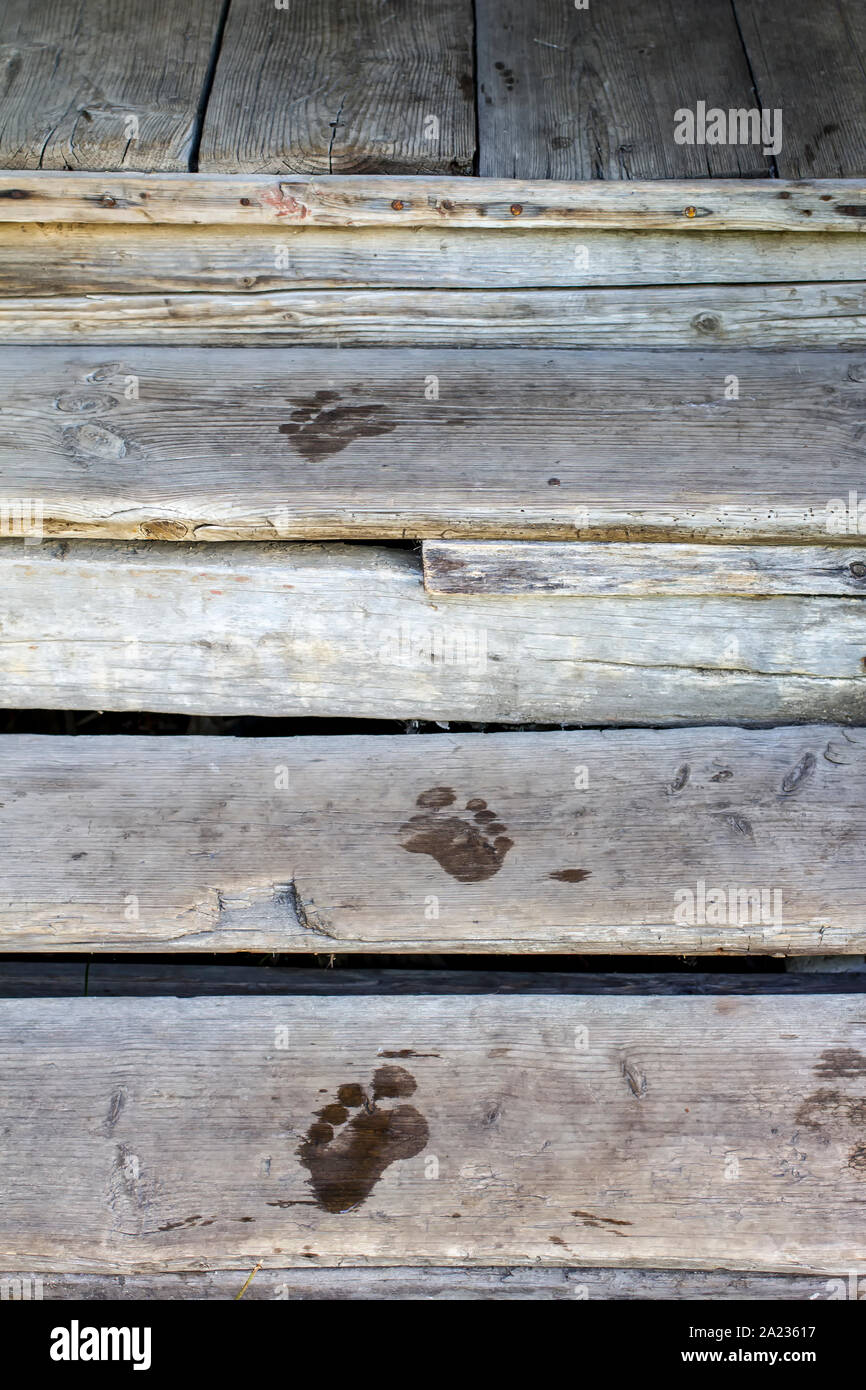 Man footprint hi-res stock photography and images - Alamy