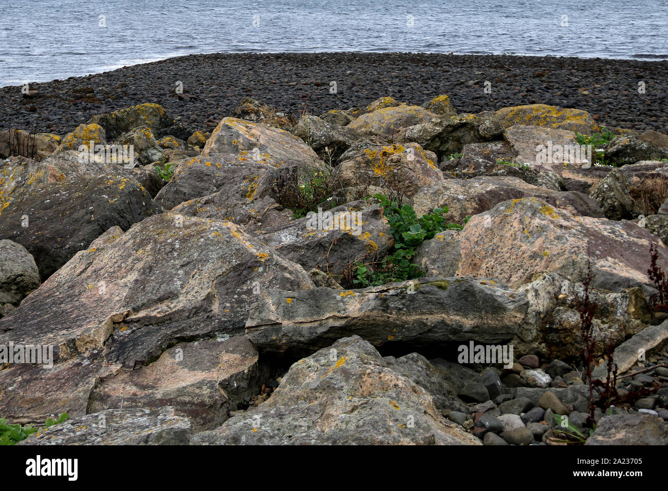Rocks and pebbles on a coastal shingle beach Stock Photo - Alamy