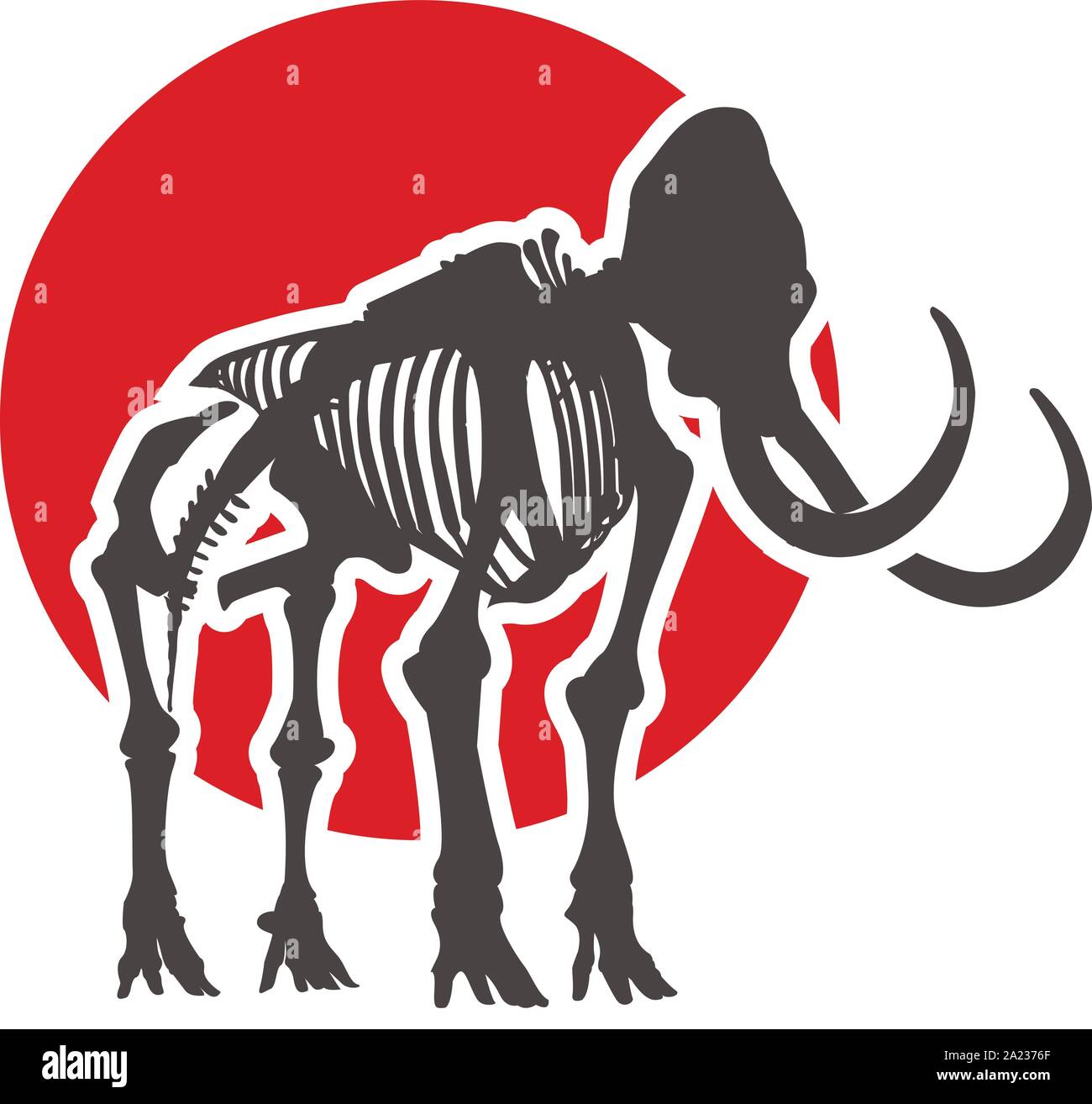 Drawing vector isolated woolly mammoth skeleton - mammuthus primigenius ...