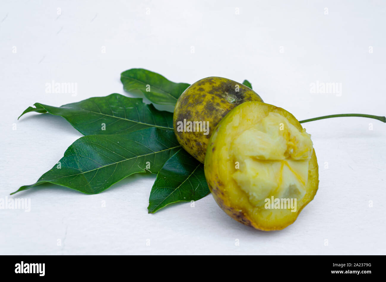 Casimiroa Edulis Leaves, Cut And Whole Fruits Stock Photo - Alamy