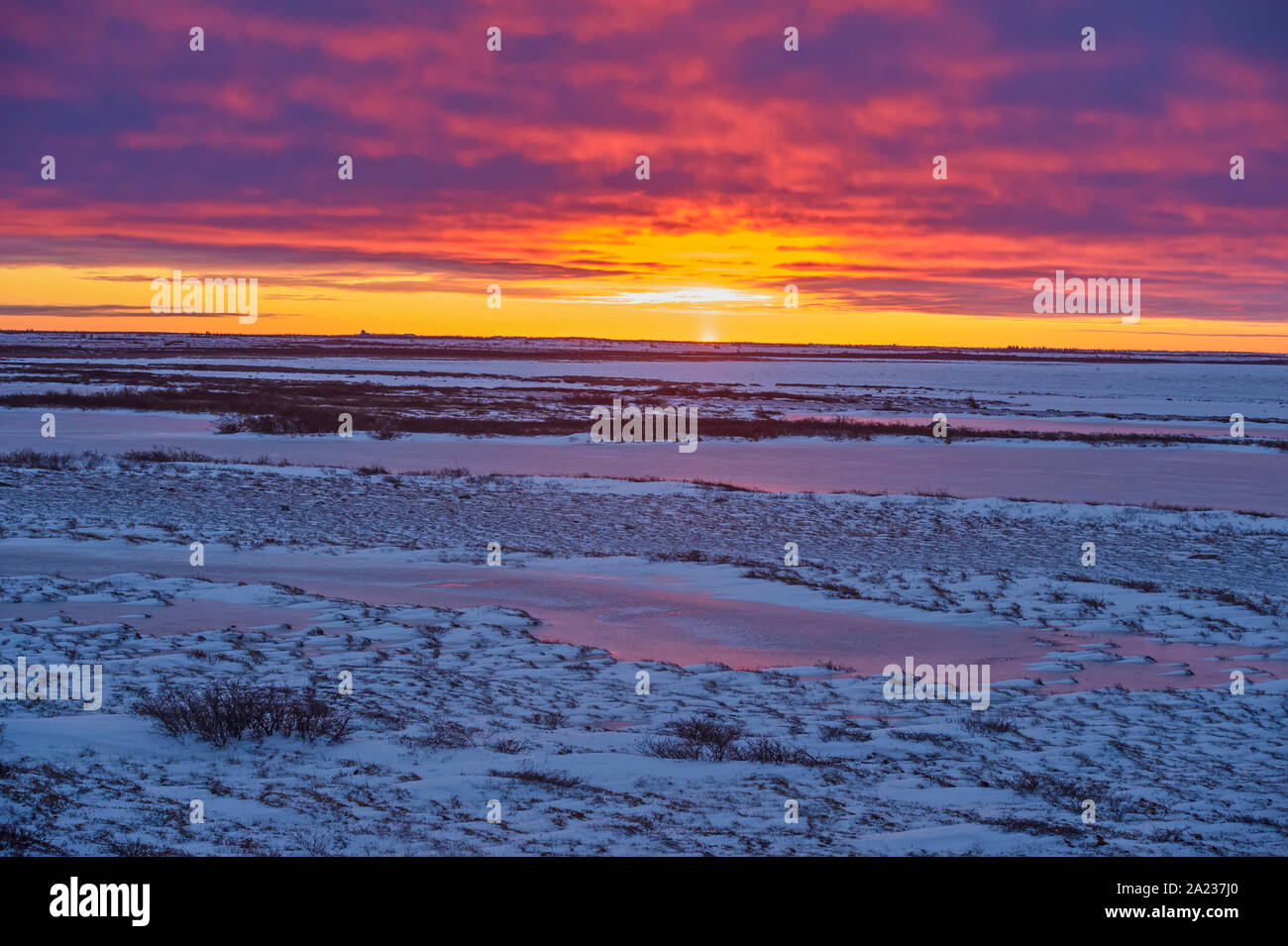 Sunset skies over Hudson Bay at freeze-up, Churchill Wildlife ...