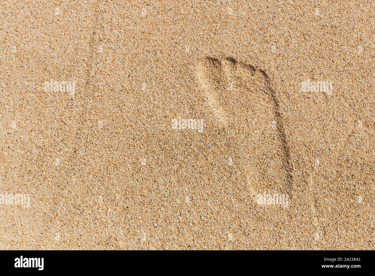 Right foot print in yellow sand. top view Stock Photo - Alamy