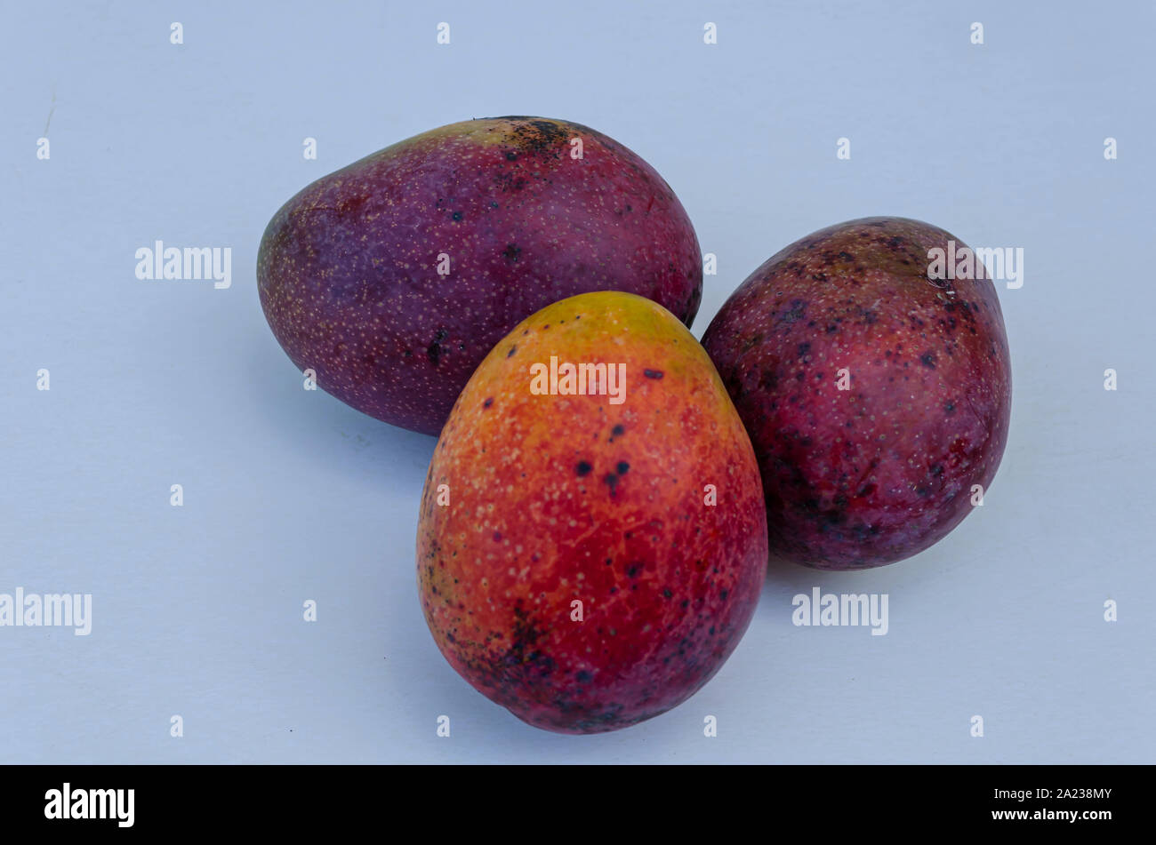Australian mango isolated hi-res stock photography and images - Alamy