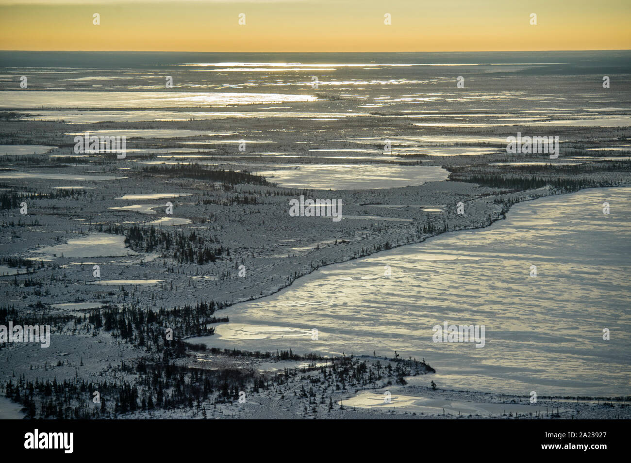 Hudson Bay Lowlands