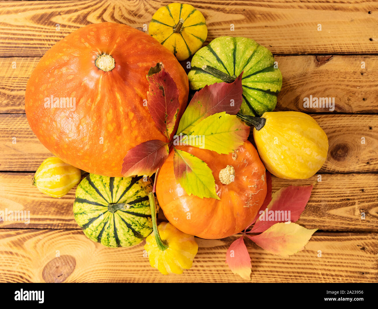 Still life with pumpkins hi-res stock photography and images - Alamy