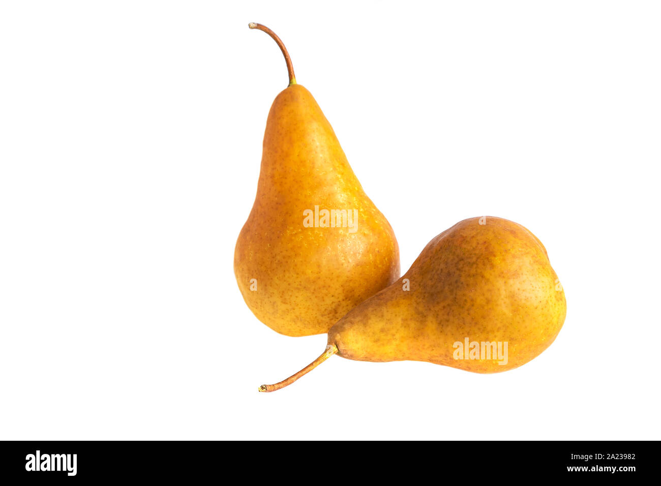Pear. Two organic pear fruits isolated on white background Stock Photo ...