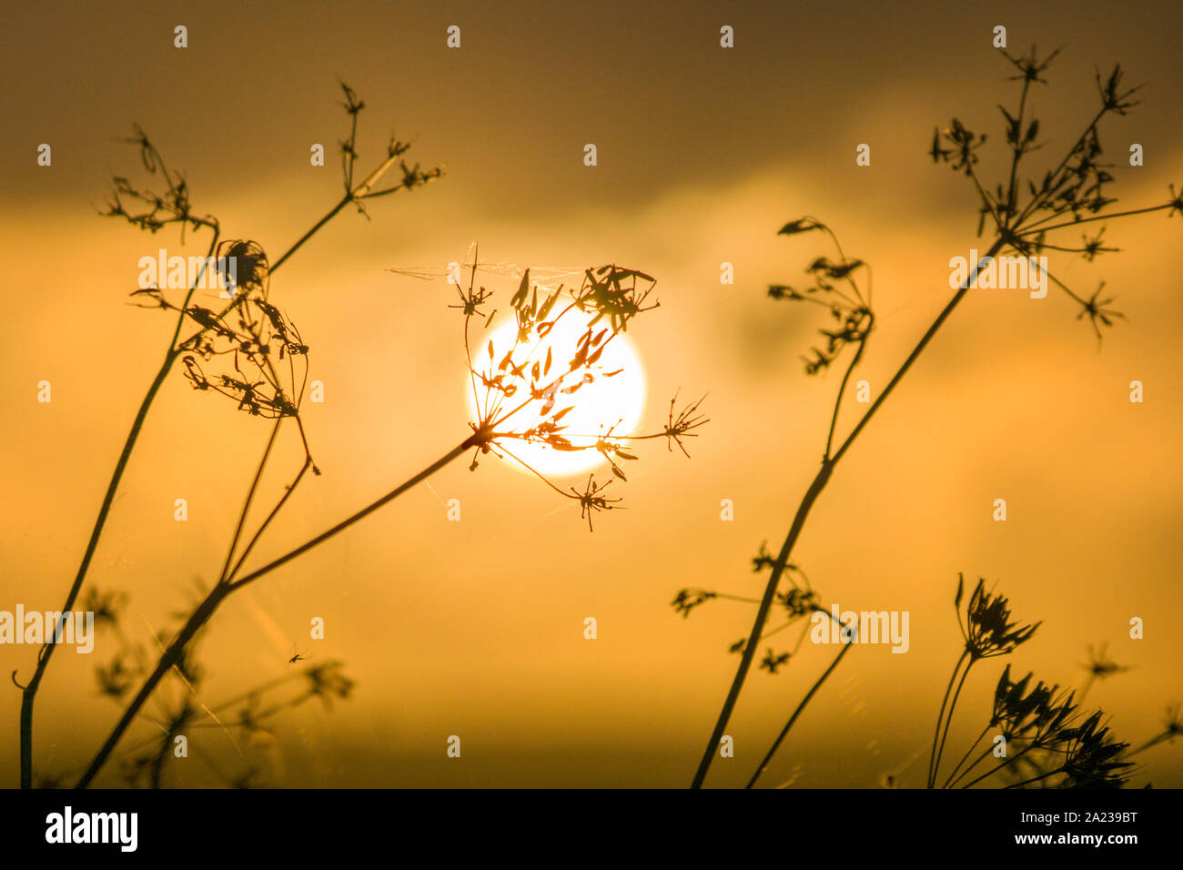 Golden circle sunrise hi-res stock photography and images - Alamy