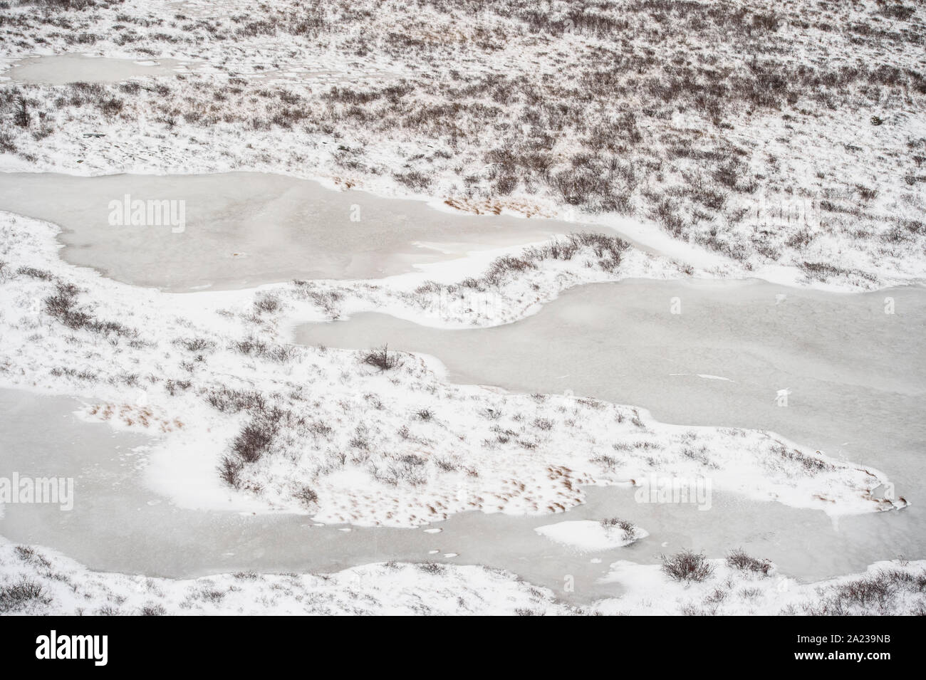 Hudson bay lowlands hi-res stock photography and images - Alamy