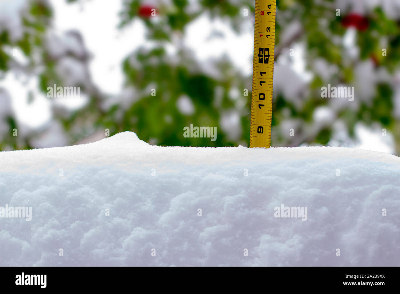 Measuring snow depth with ruler hi-res stock photography and images - Alamy