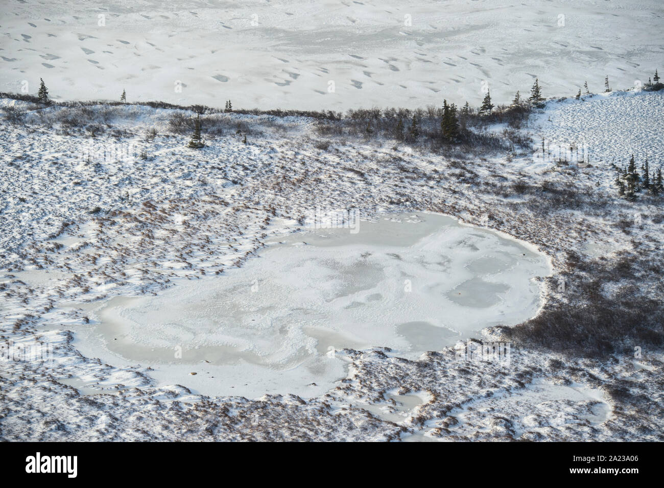 Hudson bay lowlands hi-res stock photography and images - Alamy