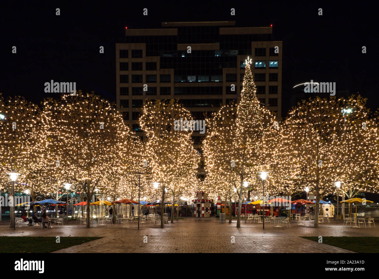 Christmas Trees at Night Stock Photo - Alamy