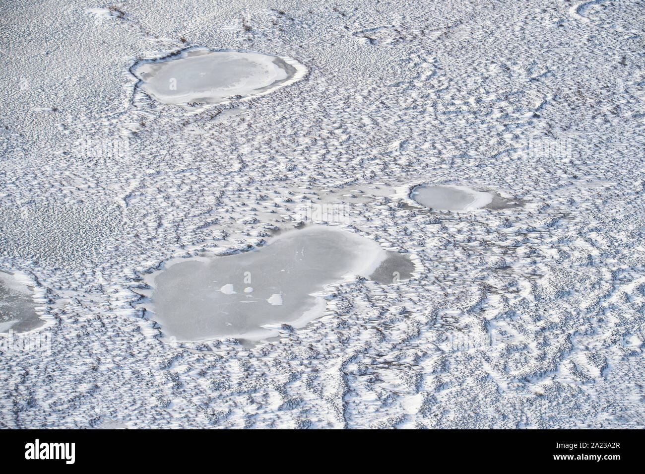 Hudson bay lowlands hi-res stock photography and images - Alamy