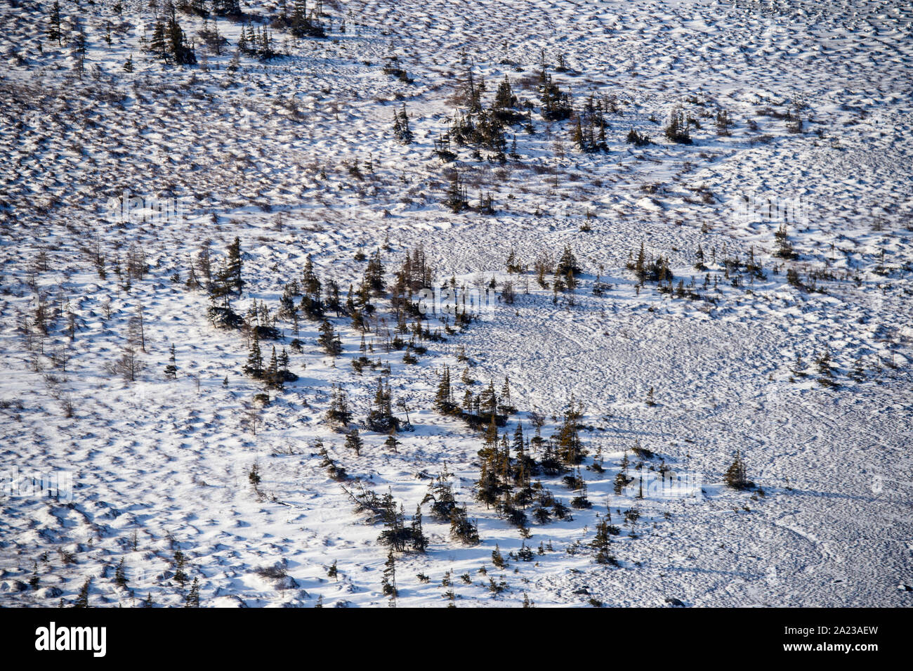 Hudson bay lowlands hi-res stock photography and images - Alamy