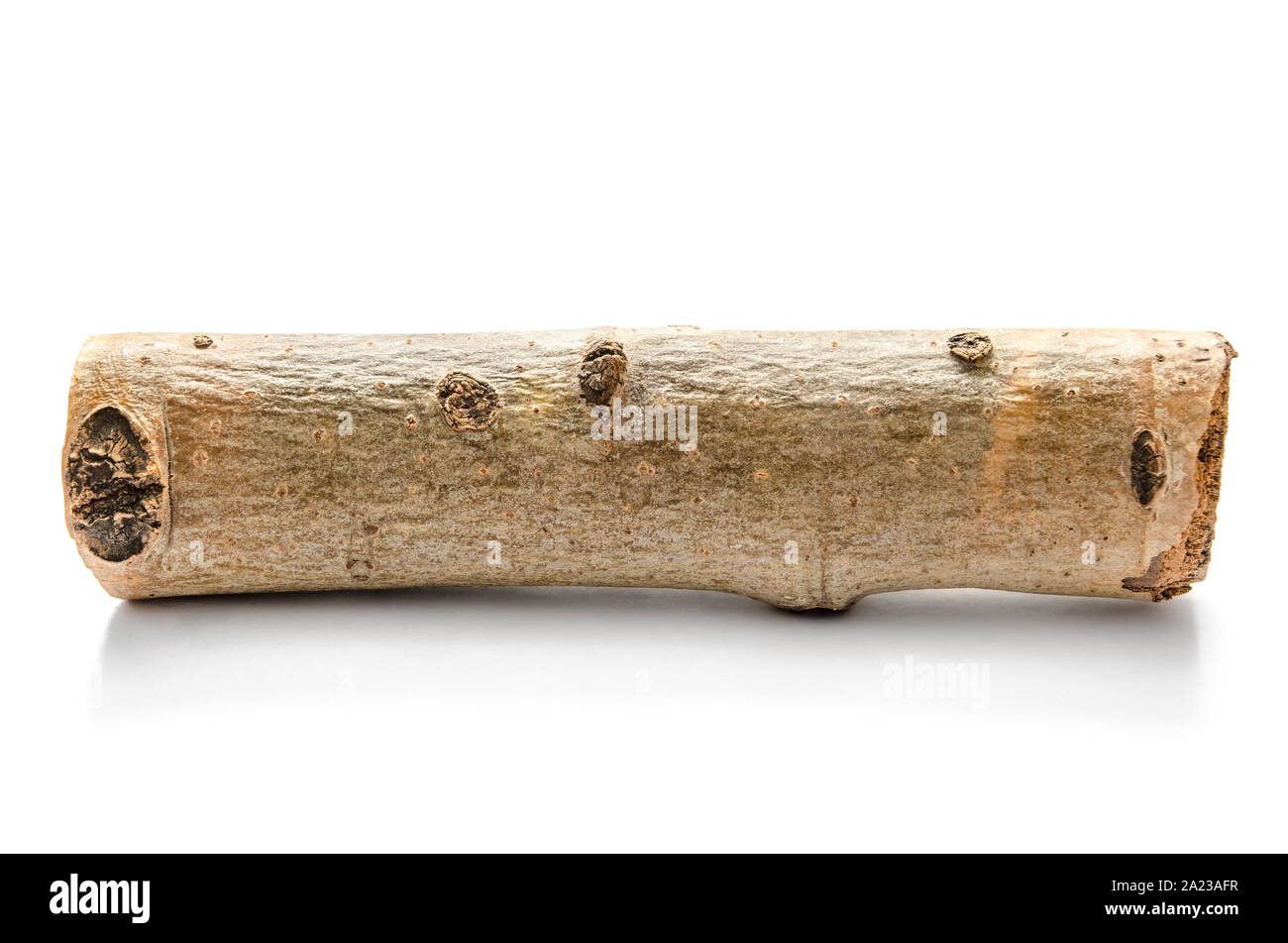 log isolated on a white background Stock Photo - Alamy