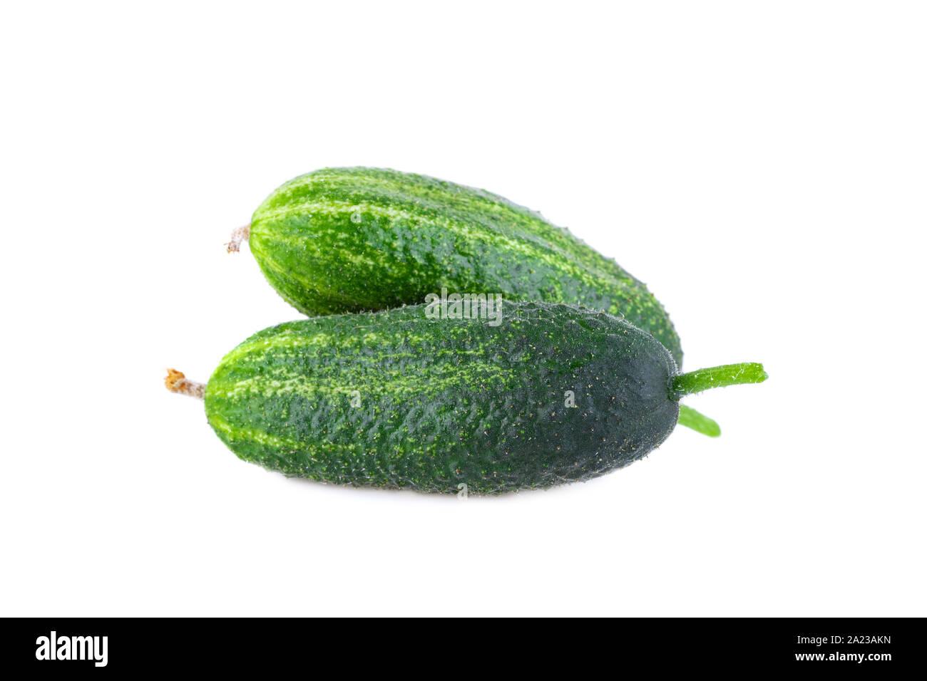 Cucumber. Two organic small cucumbers isolated on white background ...