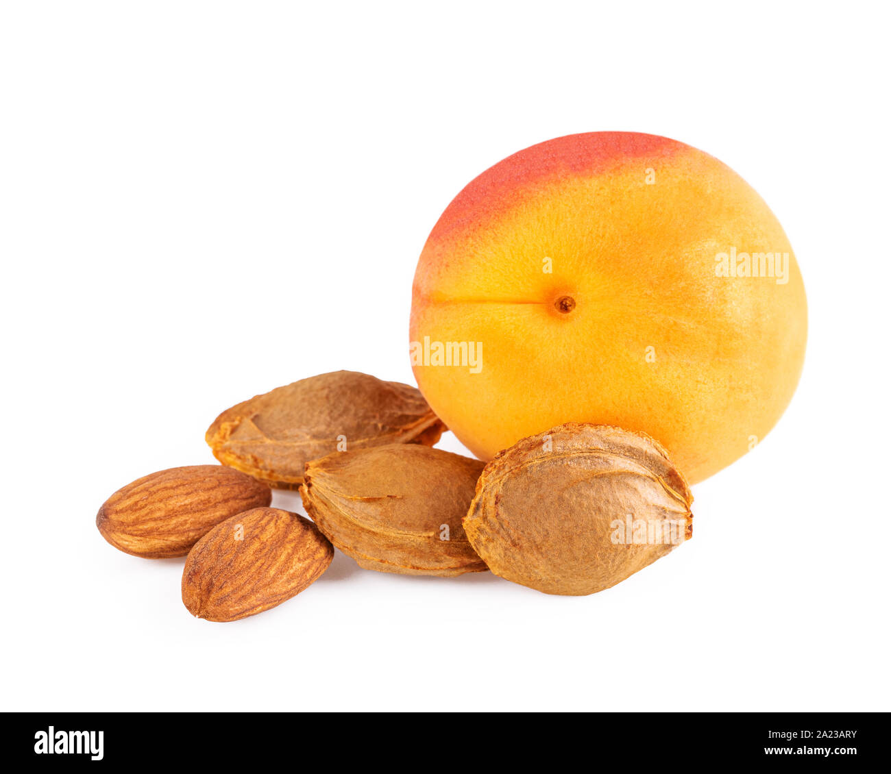Kernel fruit hi-res stock photography and images - Alamy