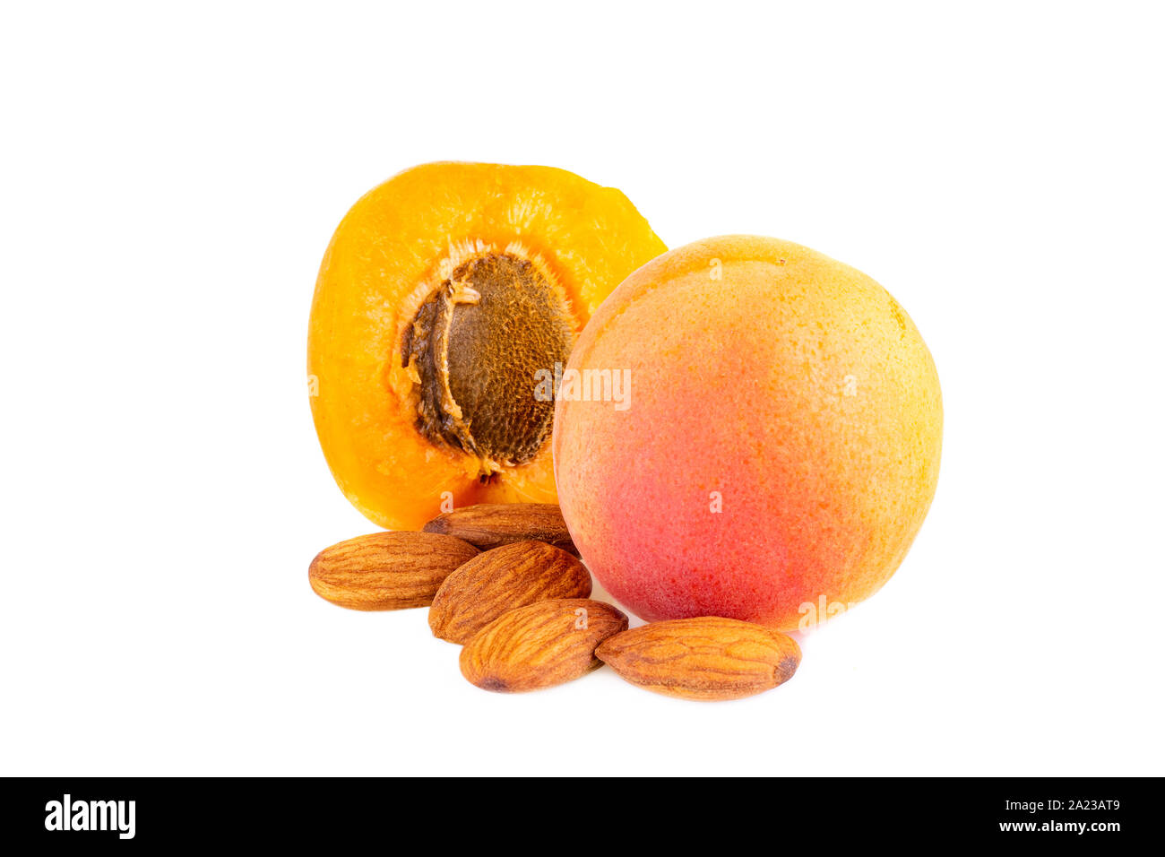 Apricot in close up. Apricots with fruit kernels isolated on white ...