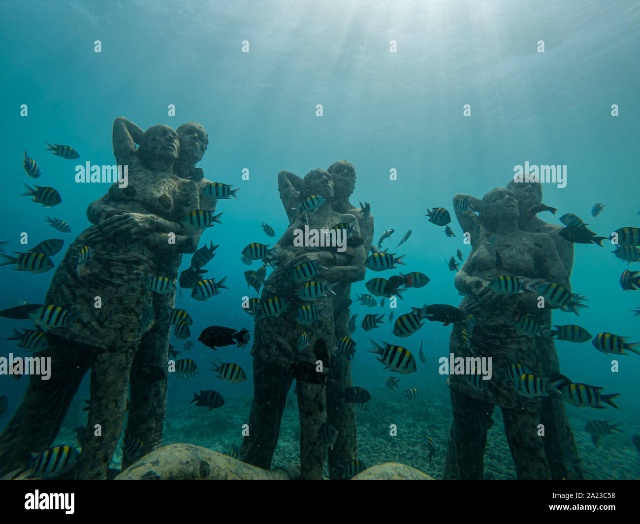 Gilli air diving hi-res stock photography and images - Alamy