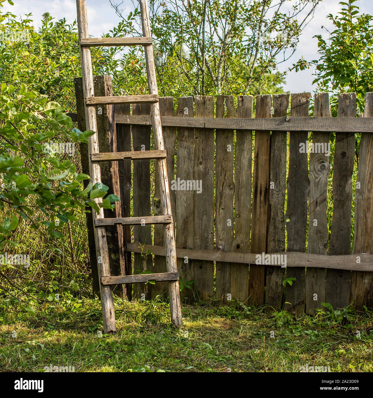 old wooden ladder by the fence from boards in garden in a village Stock ...
