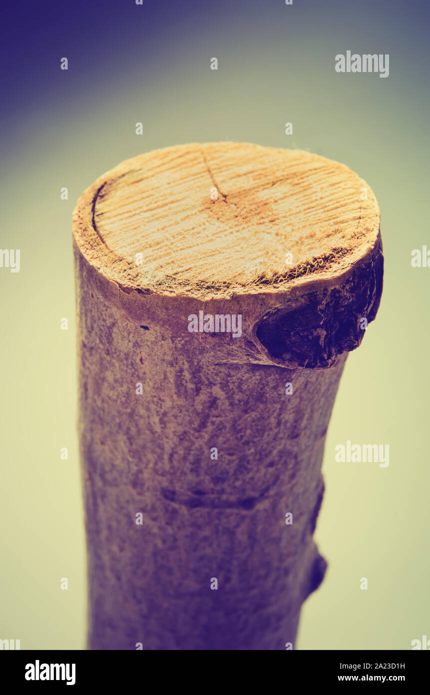 Firewood branch trunk wooden hi-res stock photography and images - Alamy
