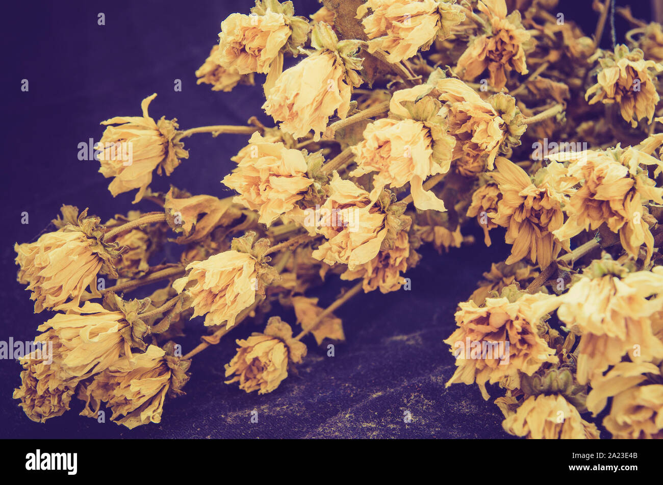 withered flowers in a bouquet Stock Photo - Alamy