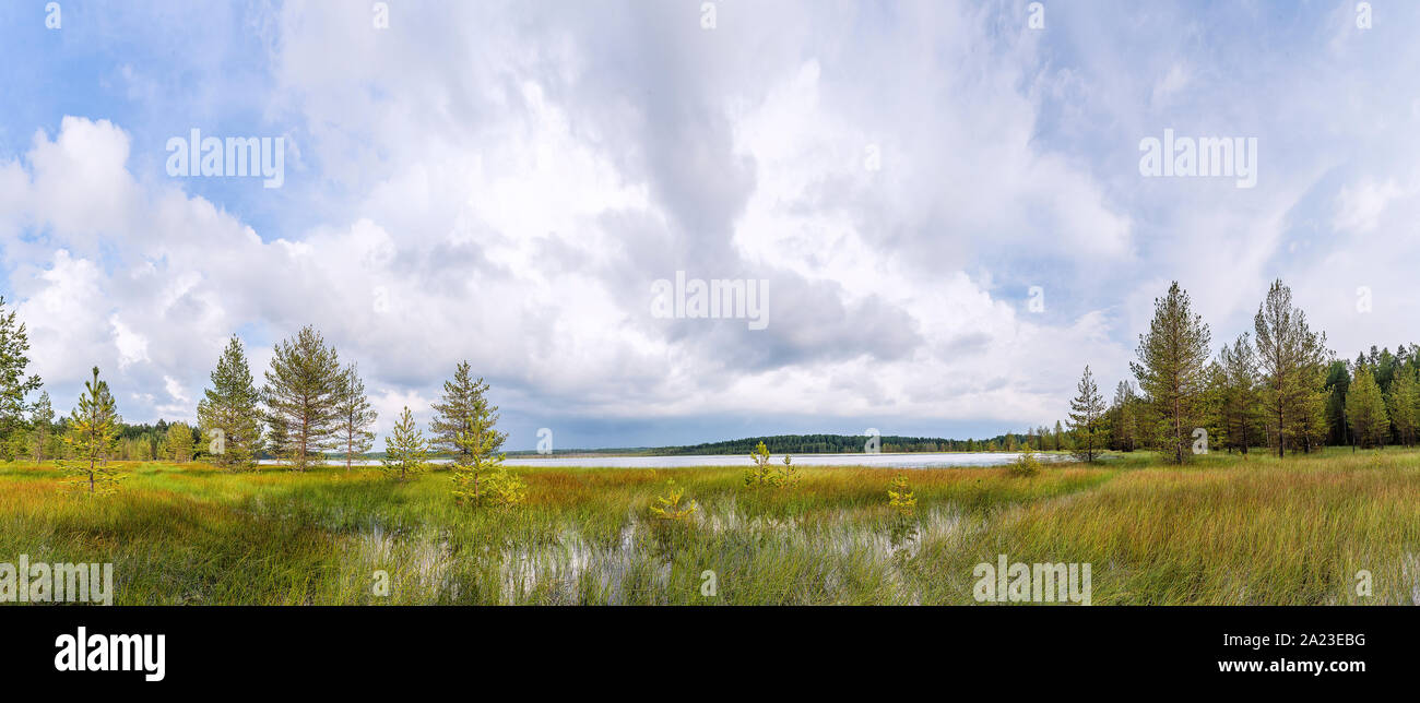 Marshy shore hi-res stock photography and images - Alamy