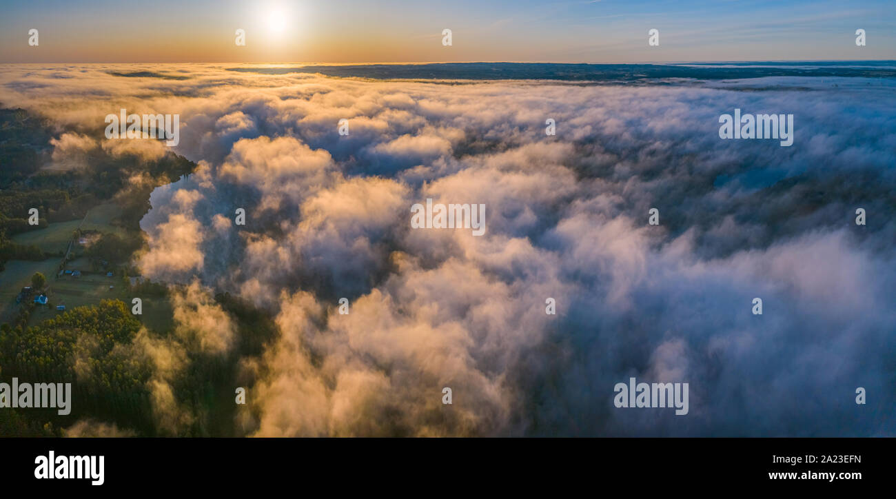 Morning fog over woodland. Summer nature landscape aerial panorama ...