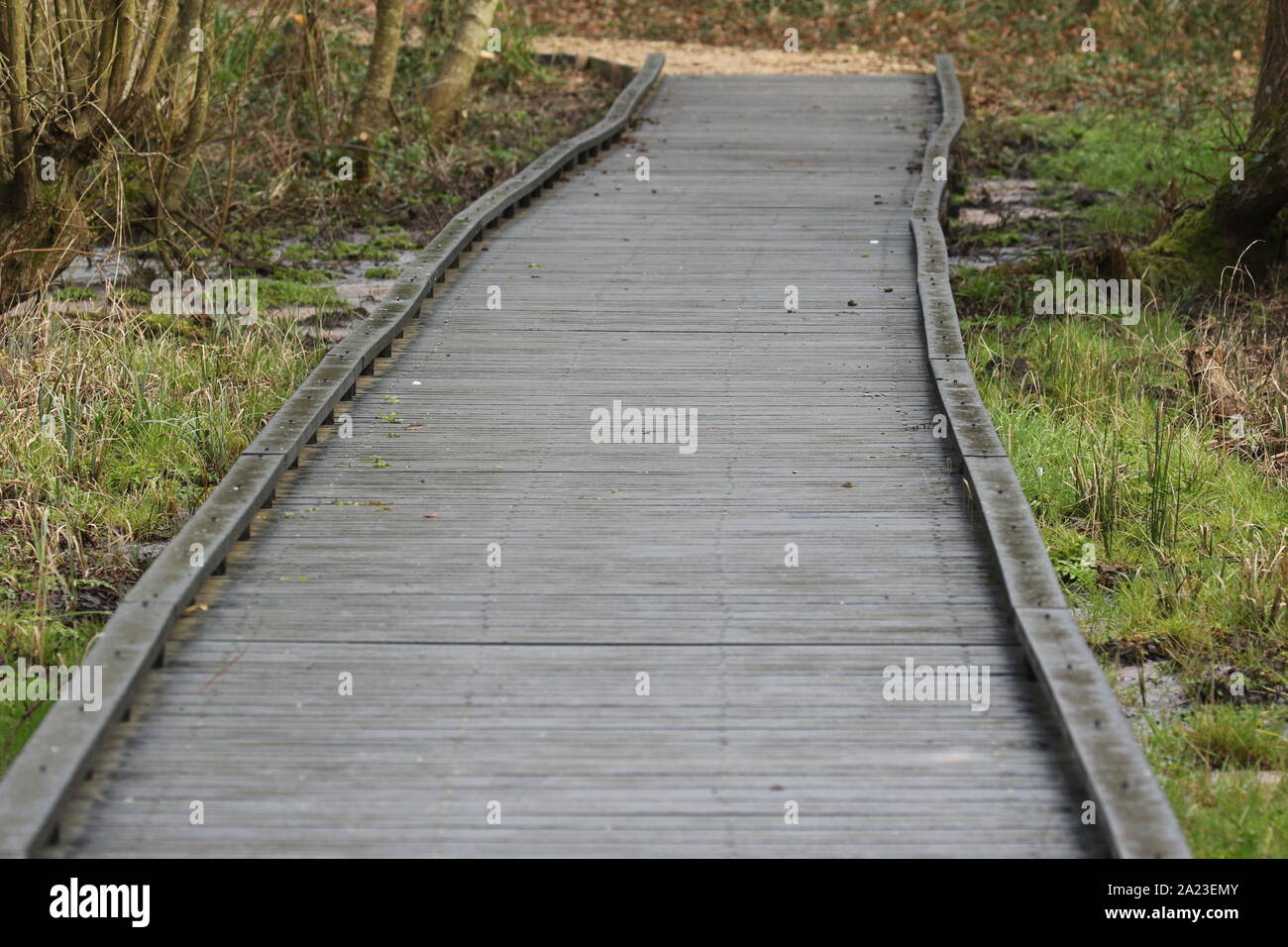 Recycled wood pathway hi-res stock photography and images - Alamy