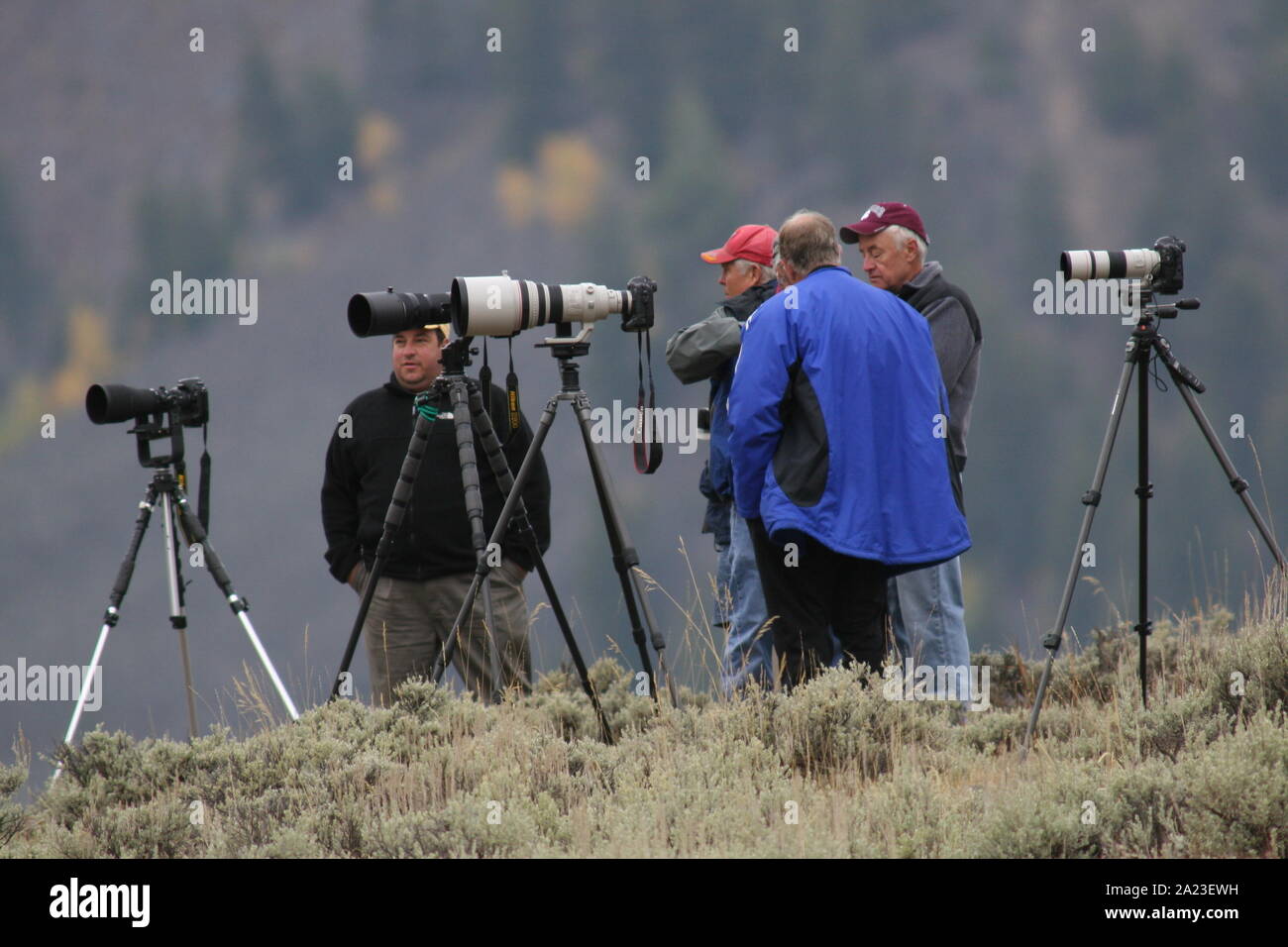 photographer in the wild Stock Photo - Alamy