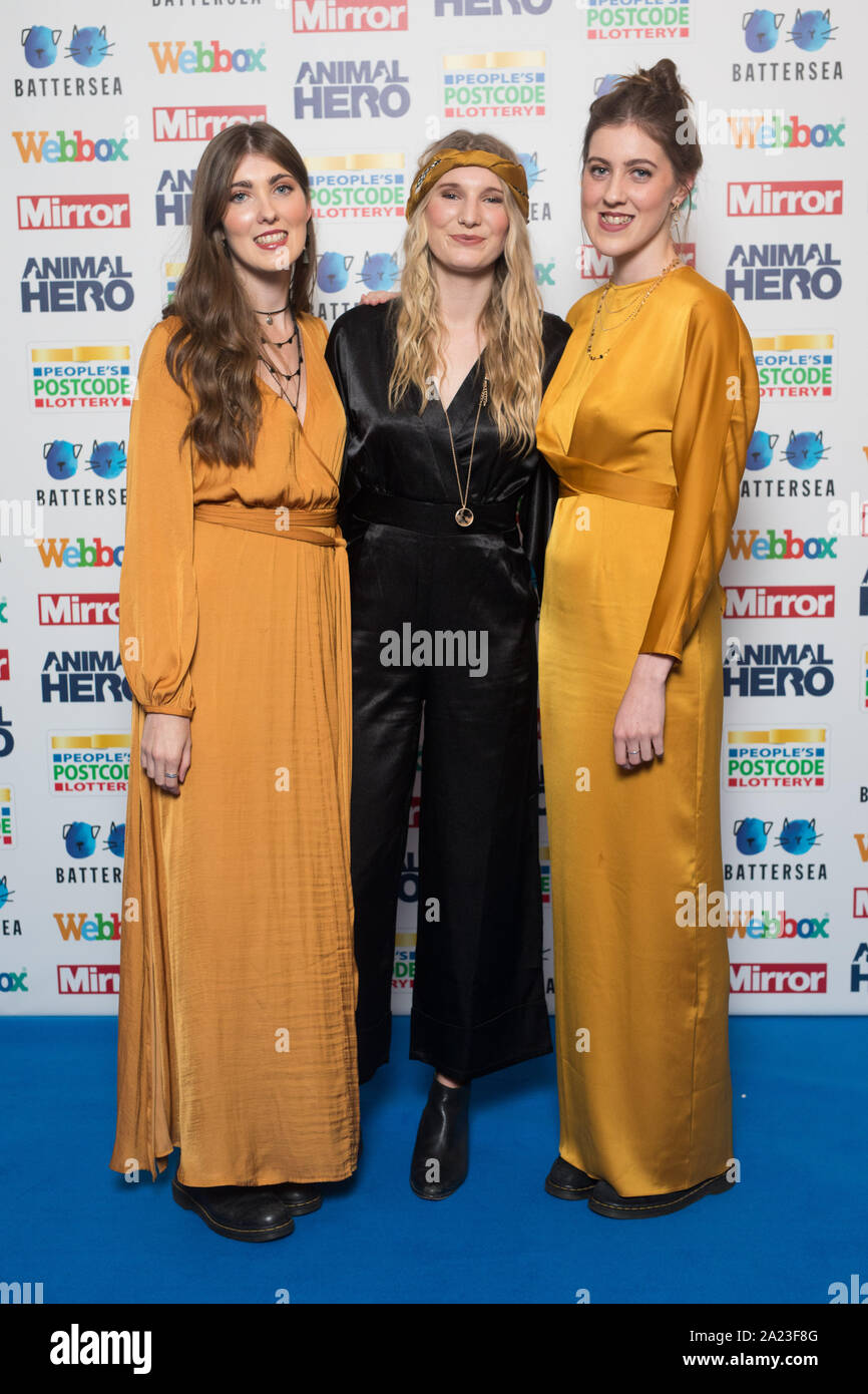 Wildwood kin 2019 hi-res stock photography and images - Alamy