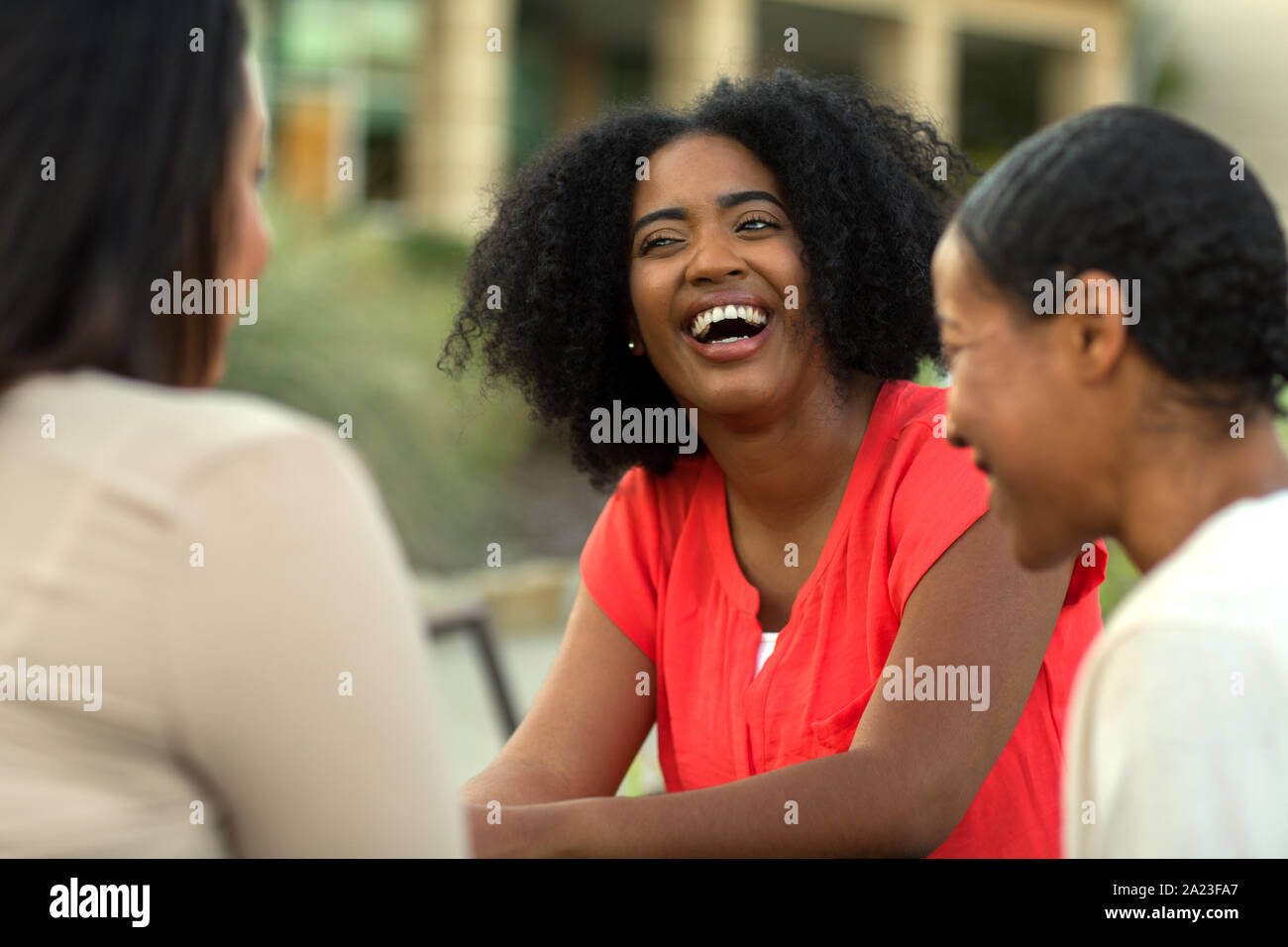 Diverse group of friends talking and laughing Stock Photo - Alamy