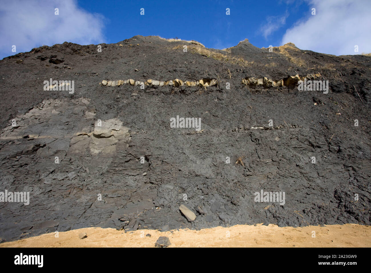 Black ven cliff fossils hi-res stock photography and images - Alamy