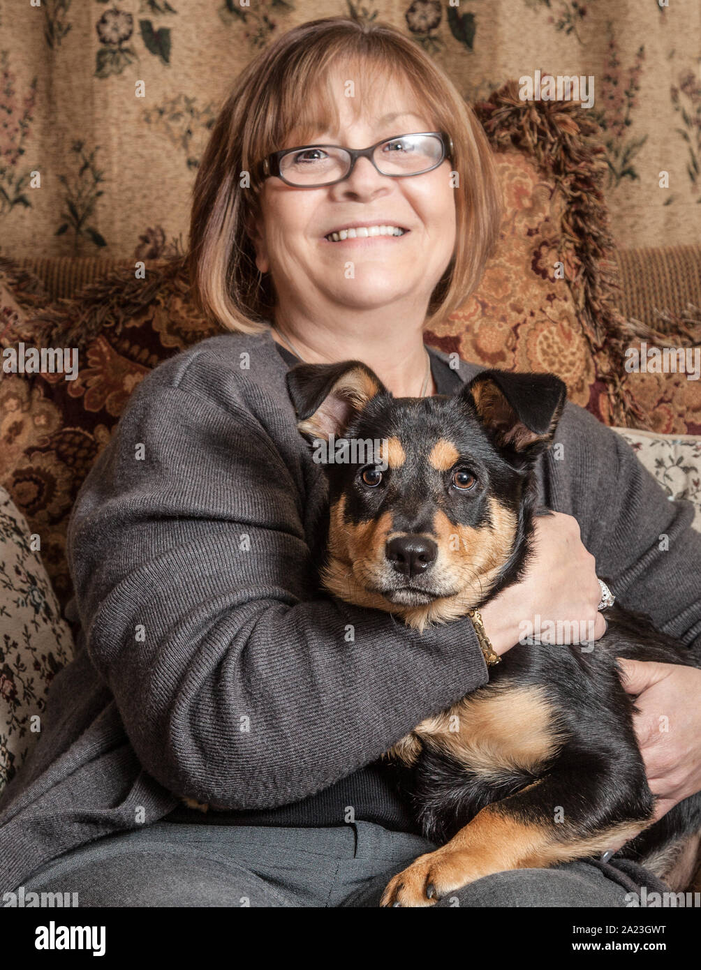 Adopted puppy puppies hi-res stock photography and images - Alamy