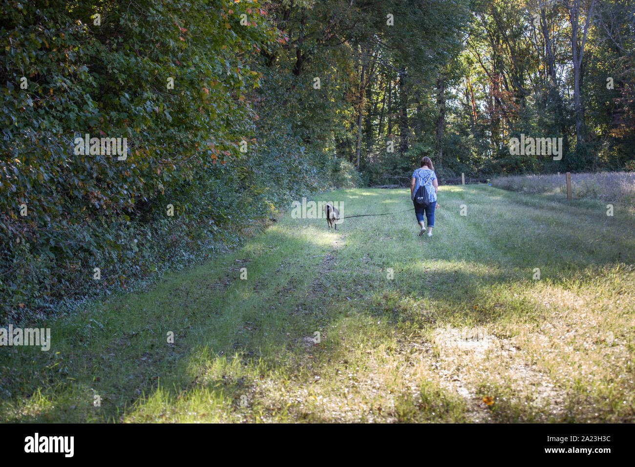 Young rescue dog playing with new family members Stock Photo - Alamy